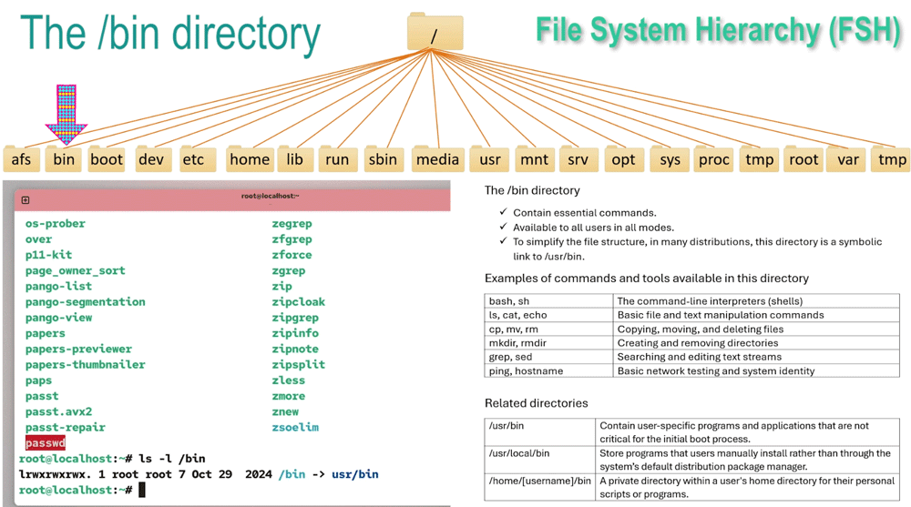 Linux File System Hierarchy Explained
