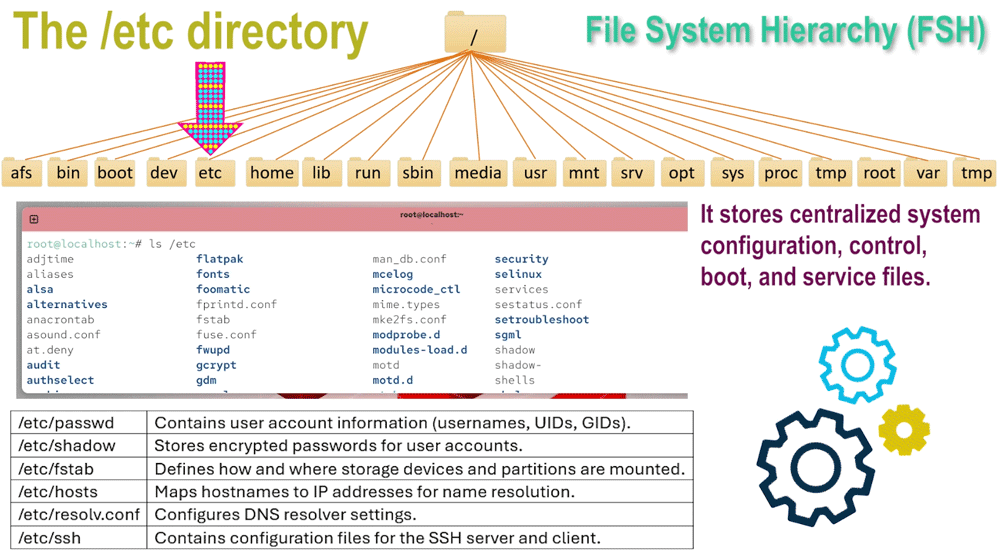 Linux File System Hierarchy Explained